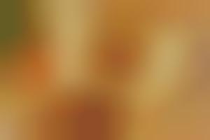 Bread for Gamers : Nintendo DSi Toast