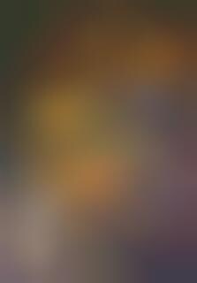 Provocative Pulp Covers : Robert Lesser Collection