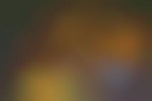 Provocative Pulp Covers : Robert Lesser Collection