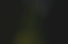 Branching Crystalline Lights : Calipso lighting collection