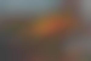 Bug Inspired Supercars : ScarabE is the future family car