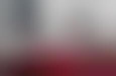 Pristine Produce Portraits : Philip Karlberg for Plaza Magazine