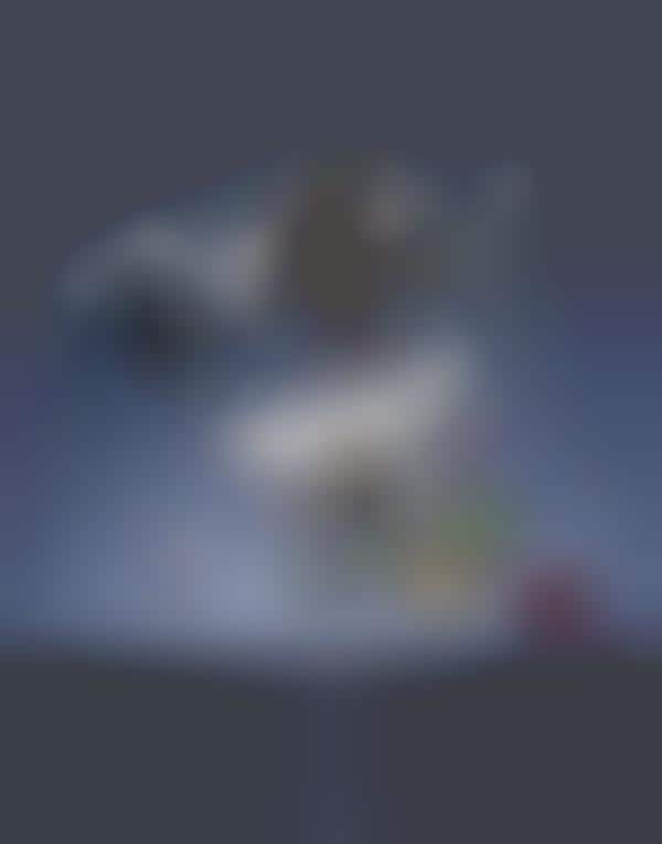 100 Deceptively Gravity-Defying Objects