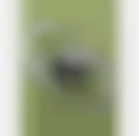 100 Quirky Wall Clocks