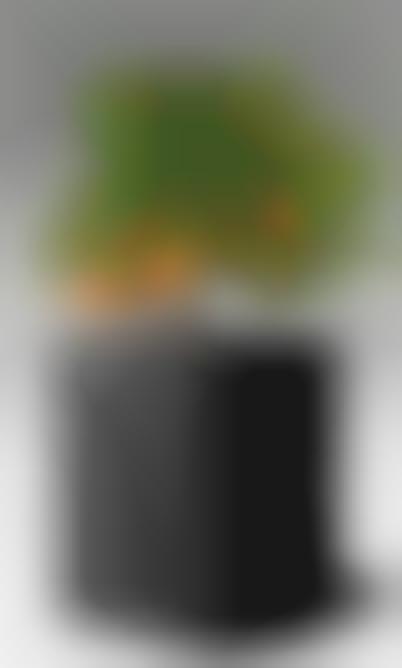 66 High-Tech Gardens