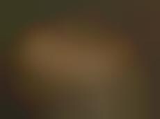 Tubular Retail Spaces : karis by suppose design