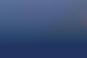 High-Tech Insect Swatters : photonic fence