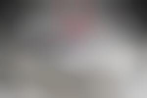 Adult-Sized Cribs : Private Cloud Rocking Bed