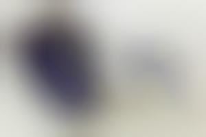 Antioxidant Alcohol : Absolut Berri Acai