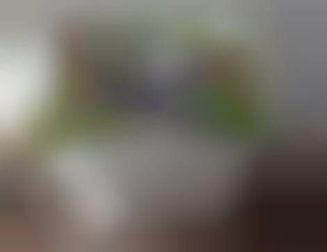 25 Eye-Catching Murals