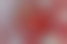 Stomach-Churning Desserts : Apocalypse Cakes