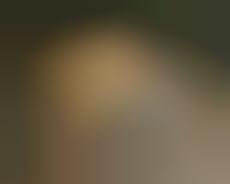 Photographic Pet Face Detection : pet face detection