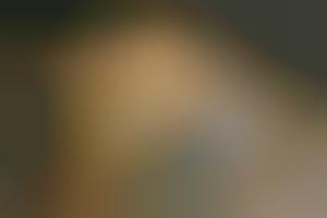 Photographic Pet Face Detection : pet face detection