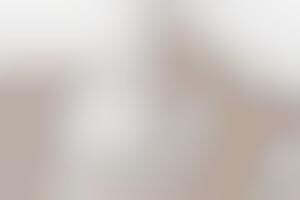 Curvy Minimalist Furnishings : harry seat