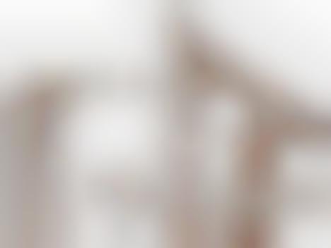 Curvy Minimalist Furnishings : harry seat