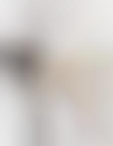 Neuticles: Testicular Implants For Neutered Pets