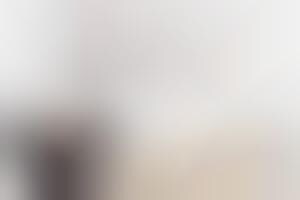 Neuticles: Testicular Implants For Neutered Pets