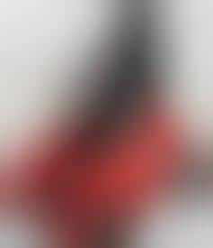 16 Innovations for & from the Disabled