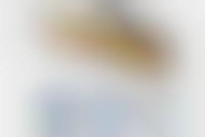 Scroll Phone: When ePaper Meets Modern Design