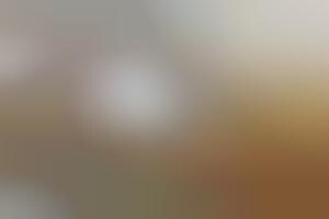 Customizable Cardboard Cot: $300 Baby Box as Art