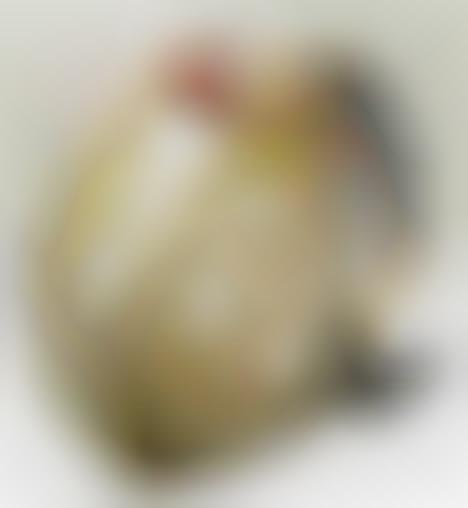 Food-Inspired Bags : Dumpling Backpack