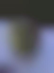 Edible Star Wars Art : Death Star Watermelons