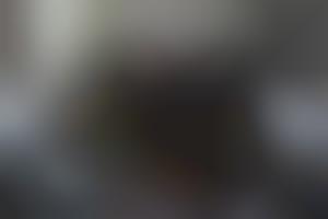 Sensibly Sustainable Furnishings : david stine