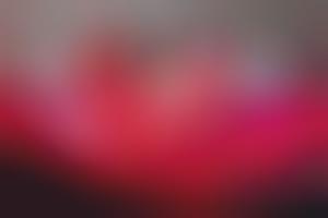 Exotic Flower Installations : CHROMAesthesiae by SOFTlab