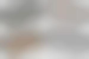 Cuban-Esque Eyewear : Moscot Mangito