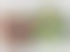 Personified Food Packaging : Tom by Eleanor Dronting