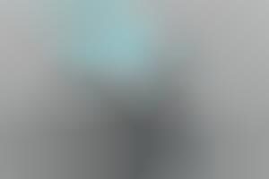 Eggy Infant Beds : Baby Cot Pod