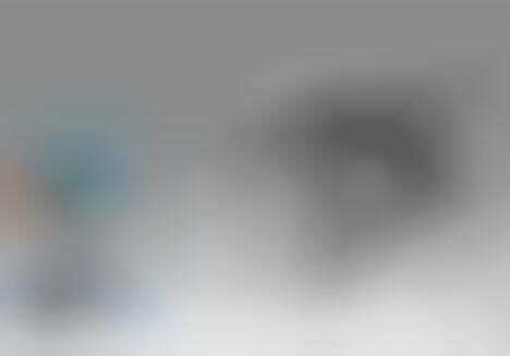 Stylish Skull Shields : Wallmann Bike Helmet