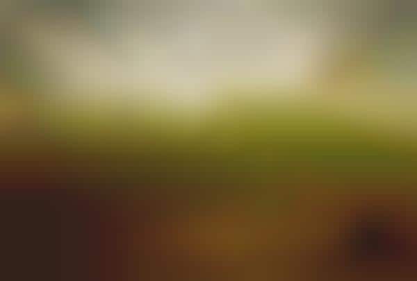 40 Examples of Gravitating Photography