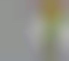 Digitized Daisies : Bionic Humidifier