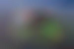 Solar Powered Spy Blimps : Solar Powered Spy Blimps