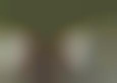 Mobile Homeless Homes : Paul Elkins Shelter