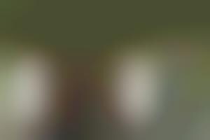 Mobile Homeless Homes : Paul Elkins Shelter