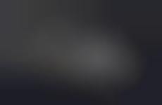 Crystalized Forests : Hylozoic Ground