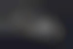 Crystalized Forests : Hylozoic Ground