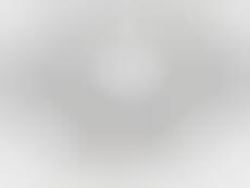 Delicate Wire Accessories : birgit hagmann