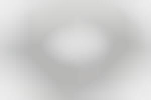 Delicate Wire Accessories : birgit hagmann