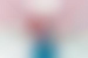 Feminist Fallopian Tubes : plush uteruses