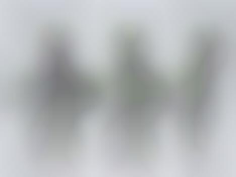 Organic Androids : Plant O Bot