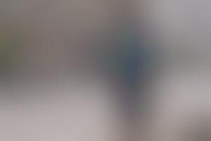 Wall Street Chic : STPL Spring 2010 Collection