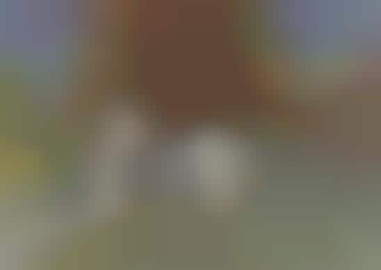 100 Contemporary Curvilinear Structures