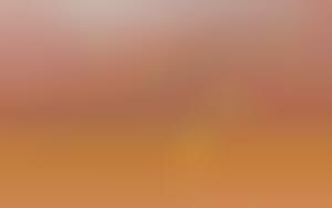 Feline Flavored Bars : crispy cat candy bar