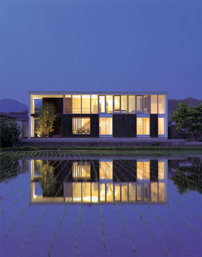 Peaceful Rice Paddy Homes : rice field house