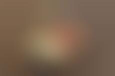 Love Protection Lockets : heart locker