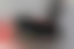 Computer Foot Controls : Flip Flop Mouse