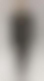 Shoulder Shields : Shoulder Shield